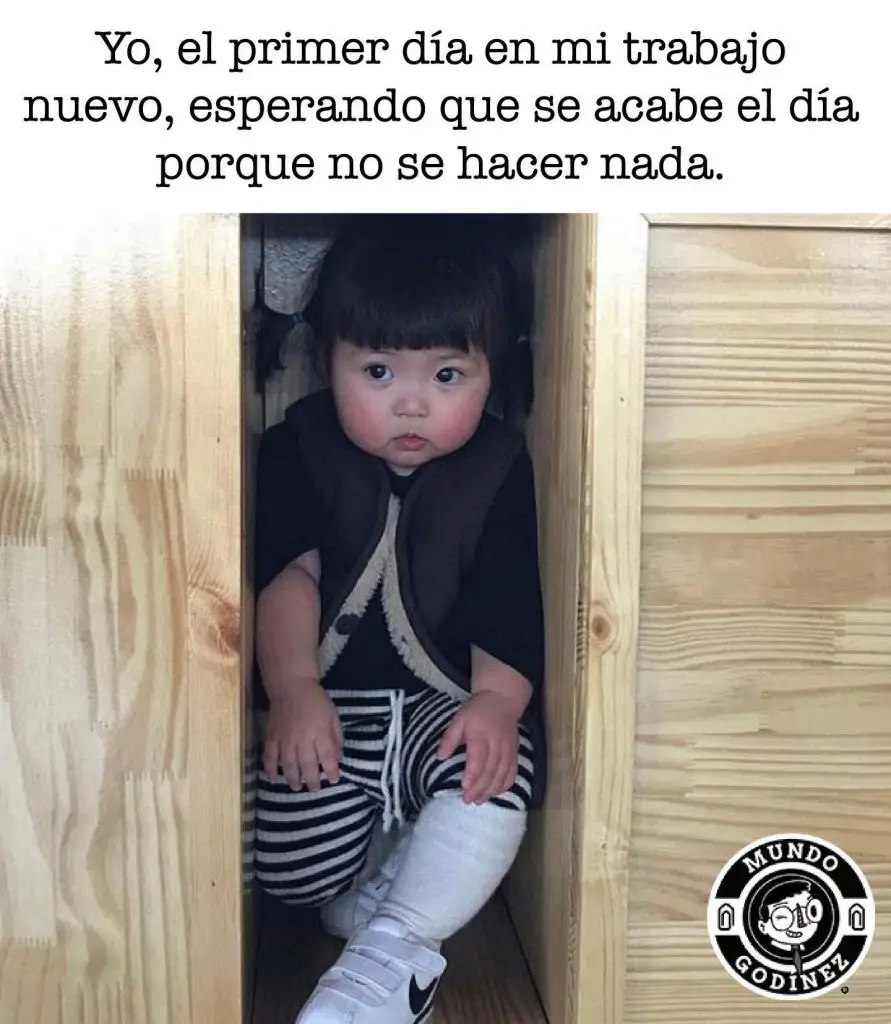 30 memes que reflejan el día a día de un Godín