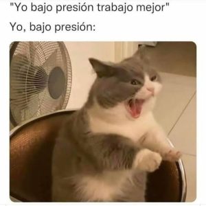 Memes de Trabajo que Describen Perfectamente la Vida Laboral