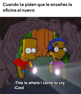 25 Mejores Memes Sobre Compañeros de Trabajo