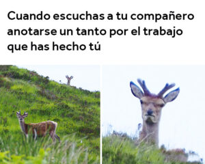 25 Mejores Memes Sobre Compañeros de Trabajo