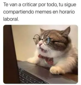 25 Mejores Memes Sobre Compañeros de Trabajo